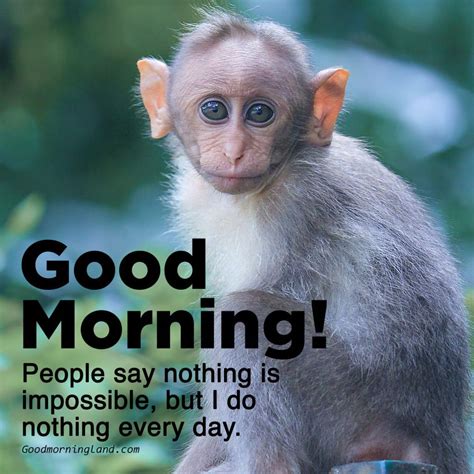 Funny Good Morning Quotes At Marshall Hite Blog