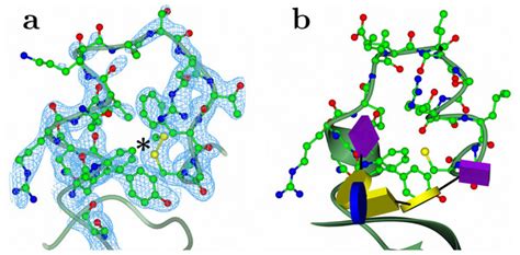 High Resolution Crystal Structures Of The Receptor Binding Domain Of