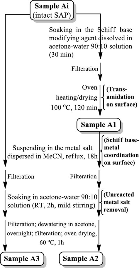 General Pathways Of The Sap Surface Modification Download Scientific
