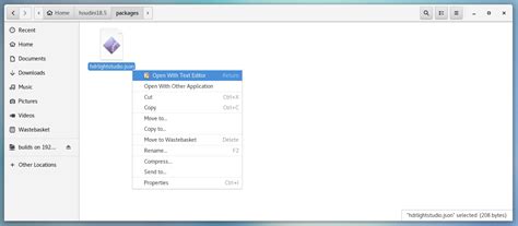 Houdini Lighting Plug In Installation Guide