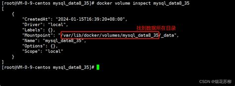 【docker构建mysql8 0镜像】 Mysql8 0 Docker镜像 Csdn博客