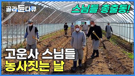 주지스님도 예외 없습니다 모든 스님이 장비 챙기고 봄맞이 농사지으러 총출동 농사지은 작물로 만든 새참까지 일하고 먹는 새참이 꿀맛이지요│경북 의성 고운사│한국기행