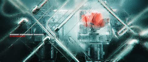 Serpo Project Behance