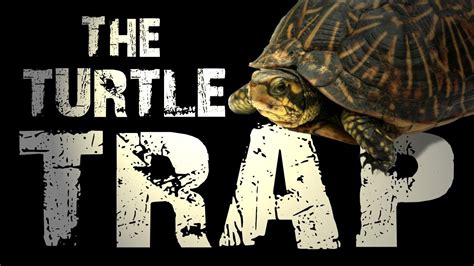 How To Turtle Trap YouTube