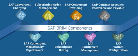 mastering financial management with sap fs cd collections and