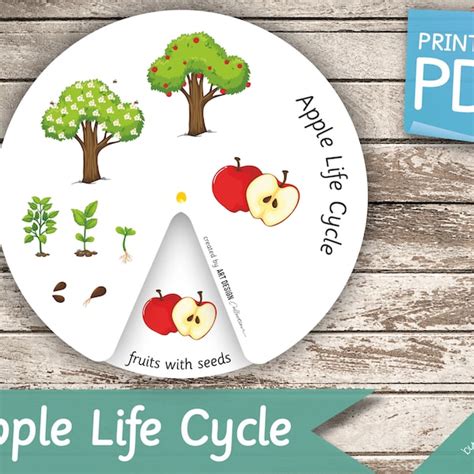 Color Matching Sorting Activity With Clothespins Fine Motor Skills Etsy Canada