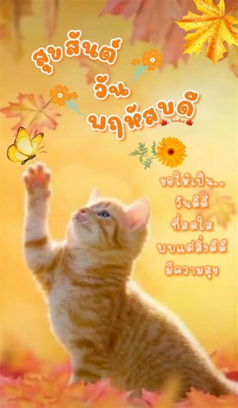 𝓣𝓱𝓾𝓻𝓼𝓭𝓪𝔂 🌺🌿 สุขสันต์วันอาทิตย์ คําคมให้กำลังใจ คำคมรูปภาพ