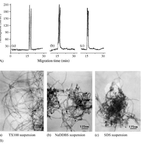 Effect Of Different Kinds Of Surfactants On The Dispersion Of Cd Mwcnts Download Scientific