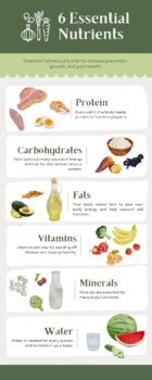 6 Essential Nutrients Infographic By Victoria Sickler TPT