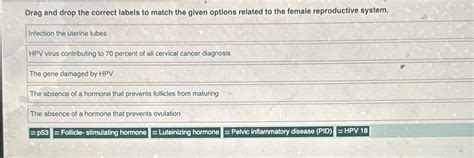 Solved Drag And Drop The Correct Labels To Match The Given Chegg Com