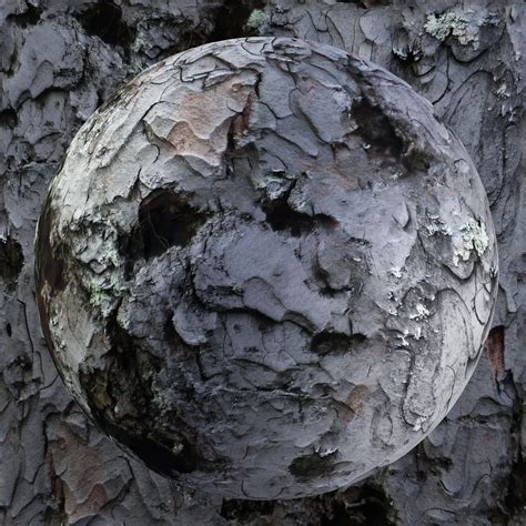 PBR Tree Bark Bundle 25 8K Seamless FlippedNormals