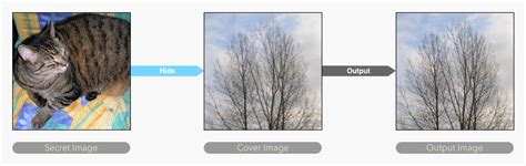 Hiding In Plain Sight Deep Steganography Stenographytf Weights