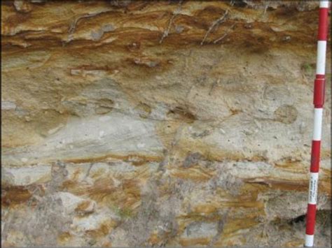 Cross Laminated Sandstone Showing Bidirectional Cross Laminae Download Scientific Diagram