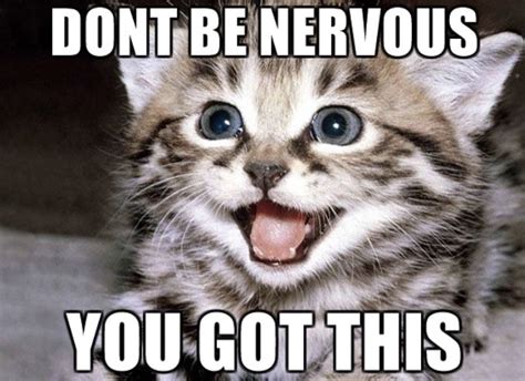 You Got This Funny Good Morning Memes Good Morning Funny Pictures Funny Cat Memes