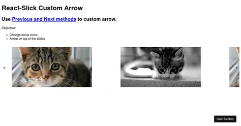 React Slick Examples Codesandbox