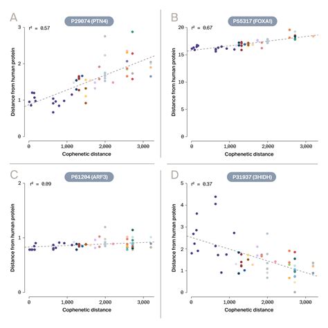 Leveraging Evolution To Identify Novel Organismal Models Of Human Biology · Genetics Decoding