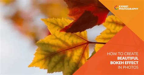 How To Create A Beautiful Bokeh Effect In Photography Bokeh Effect Bokeh Bokeh Photography