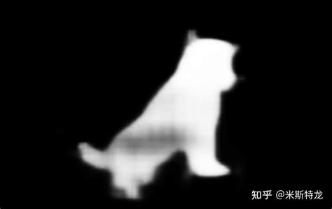 Pytorch模型推理及多任务通用范式 Lesson4 知乎