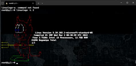 Логотип Linux в терминале и информация о системе Internet