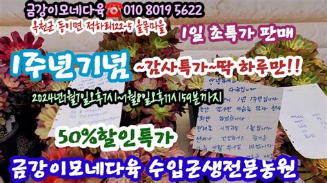 마감 수입군생다육전문 주년 기념 신년 감사세트 딱 일만 절반가로 신년특집 화려한 꽃다발 금종자 에어니옴 할인가 모듬 유료광고포함 YouTube