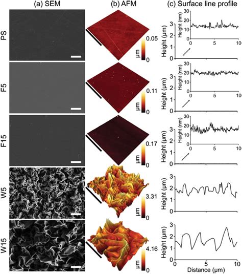 The Surface Topology Of The Polystyrene Ps Planar And Wrinkled Download Scientific Diagram