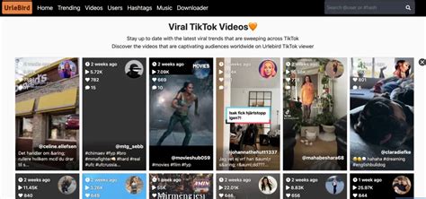 Urlebird The Complete Guide To The Anonymous Tiktok Viewer Radiance