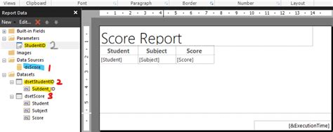 sql server reporting services login prompt