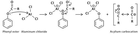 Fries Rearrangement Chemistry Optional Notes For Upsc Pdf Download