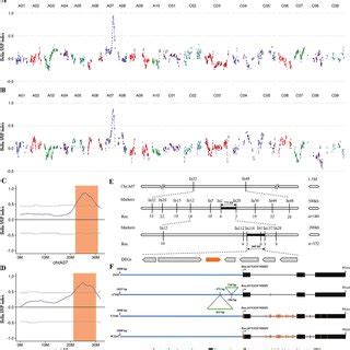 Identification And Isolation Of The APF Gene A C Using The YA F Download Scientific