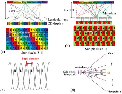 double functioned metalens inspired by compound eyes for naked eye 3d