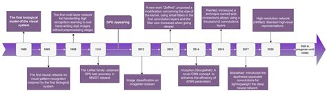 Convolutional Neural Networks Or Vision Transformers Who Will Win The