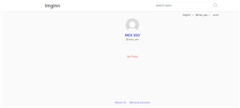 Imginn Review And Its Best Alternatives In 2025 Mexseo