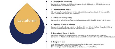 Immune Defence Lactoferrin