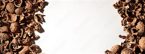 Empty Walnut Shell Frame Textured Nut Border With White Place