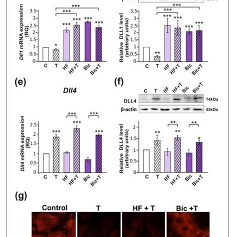 The Effect Of Androgen Receptor Antagonists Or Androgen Receptor