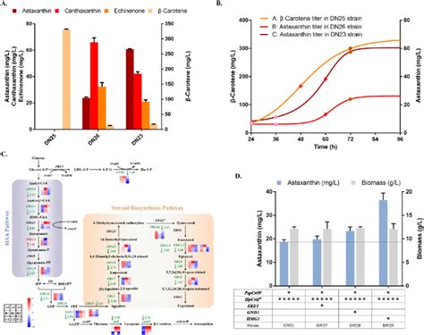 Transcriptome Analysis Of Different Carotenoid Producing Strains A