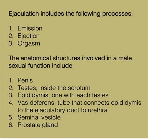 Is The Quranic Account Of Seminal Fluid Emission Consistent With Science