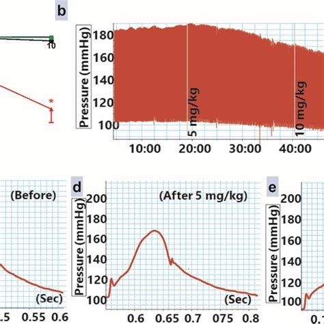 Effects Of Slow Intravenous Injection Of Hinokitiol On The Systolic Bp Download Scientific