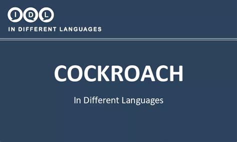 Cockroach In Different Languages Translate Listen And Learn