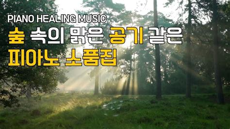 피아노연속듣기 숲 속의 맑은 공기 같은 힐링음악🏔️몸과 마음을 치유하는음악 카페음악불면증에좋은음악수면음악우울증 치료음악일할때듣는음악스트레스해소음악 명상음악