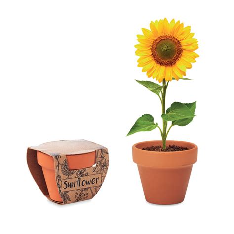 Terracotta Pot ‘sunflower Mustang Advertising Trading Llc