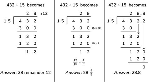 Division Biology Simple