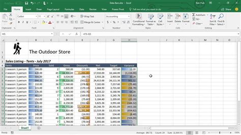 Data Bars Microsoft Excel Dashboards Goskills