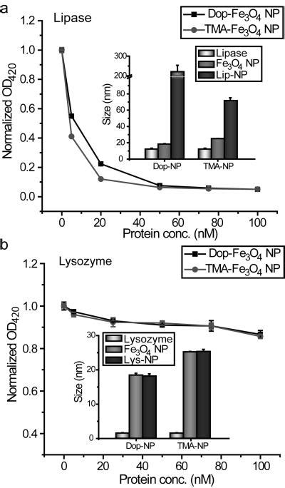 Colorimetric Protein Sensing Using Catalytically Amplified Sensor
