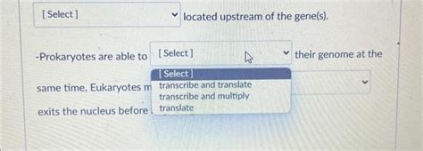 Solved 2 Multiple Drop Downs Please Choose The