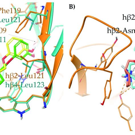 A Comparison Of The Proposed Binding Mode Of The High Affinity α4β2 Download Scientific