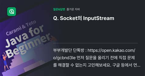 Socket의 Inputstream 인프런 커뮤니티 질문and답변