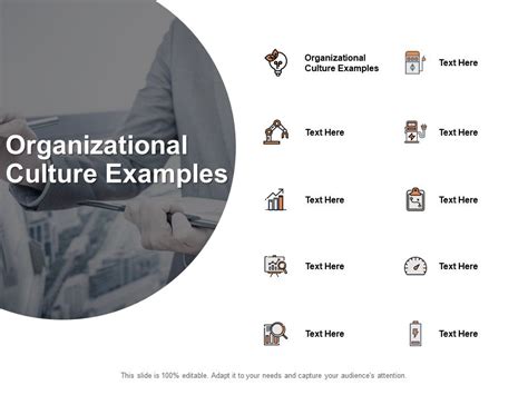 Organizational Culture Examples Ppt Powerpoint Presentation Portfolio