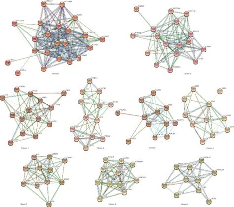 predicted protein interaction analysis revealed 9 enriched major