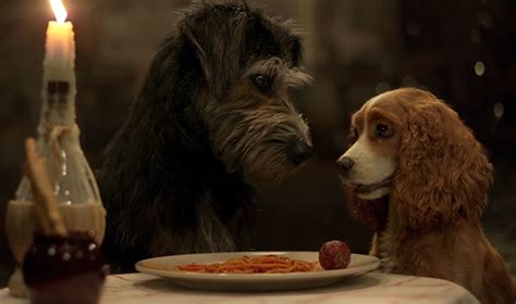 Disney Presenta El Tr Iler Del Live Action De La Dama Y El Vagabundo